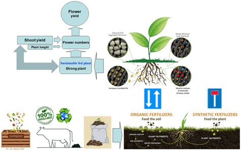 Chemical Fertilizers Effects Buy Effect Of Chemical Fertilizers On