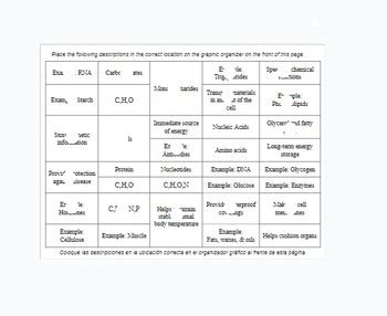 Macromolecule Chart Organizer Digital Drag And Drop Printable