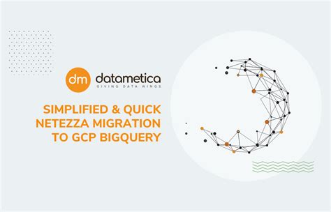 Netezza Logo Netezza Logo