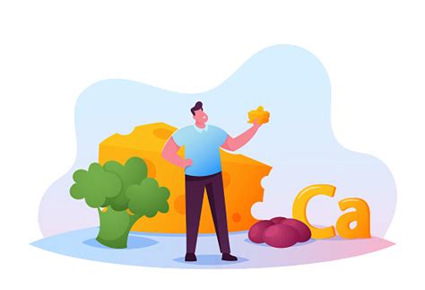 작은 젊은 남자는 칼슘의 소스로 거대한 브로콜리와 계란 치즈의 조각을 개최합니다 건강한 유기농 식품 영양 건강한 생활방식에 대한 스톡 벡터 아트 및 기타 이미지 Istock