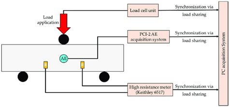 The Experimental Setup For The Concurrent Recordings Of The Electrical Download Scientific