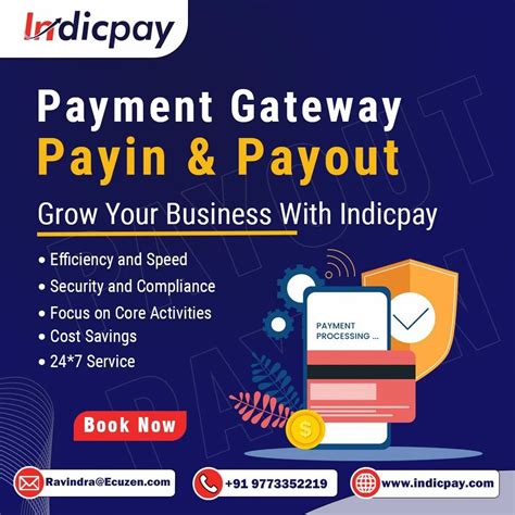 Upi Payment Gateway At ₹ 30000 In Jaipur Id 2852589629648