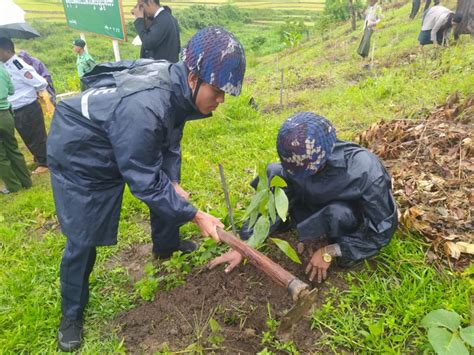 မိုင်းခတ်၌ ၂၀၂၃ ခုနှစ် မိုးရာသီစုပေါင်းသစ်ပင်စိုက်ပျိုးပွဲတော်ကျင်းပ