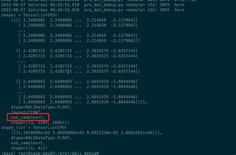 Pipeline Run Return Batch Size Issue NVIDIA DALI GitHub