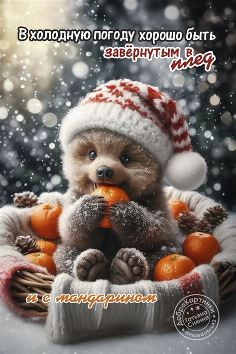 Медвежонок и Новый год Мандарины Детские новогодние открытки Новогодние открытки