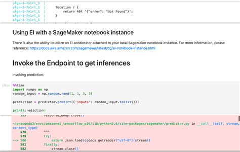 sagemaker notebook instance elastic inference tensorflow model local