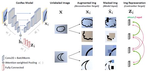 Github Bayer Science For A Better Lifecontrastive Reconstruction