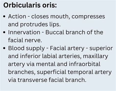 Orbicularis Oris Medizzy