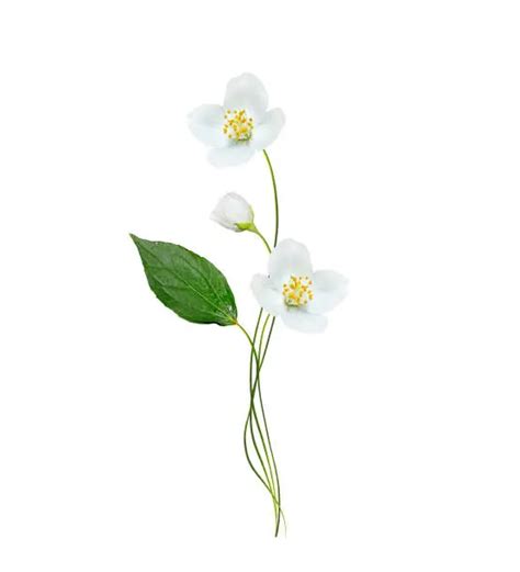 얃 사진 Unsplash에서 무료 이미지 다운로드