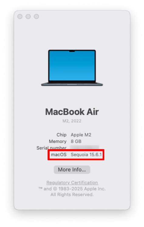 How To Install Macos Network Extensions Proton Vpn