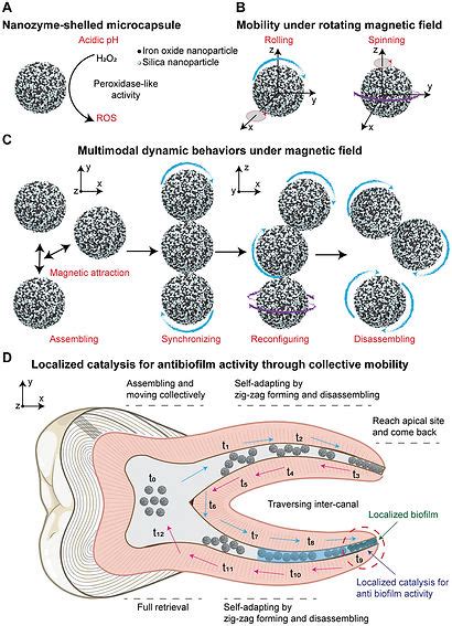 Soft Materials And Technology Smart Lab Upenn Philadelphia