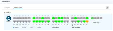 zabbix 4 2 8 two different graphs for same metric showing differing
