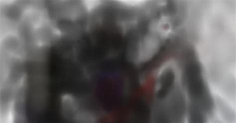 Random Instinct Imgur