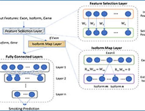 RNA Extraction Method Read Length And Sequencing Layout Single End Versus Paired End