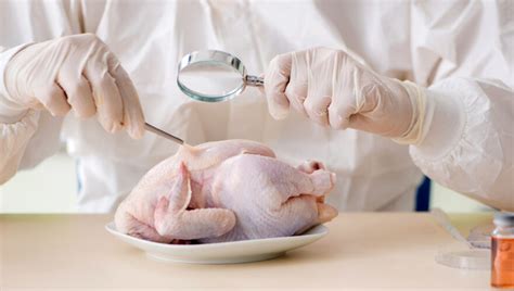 Stop Foodborne Illness Calls For Stronger Usda Action On Poultry Safety