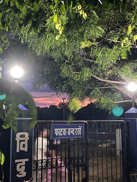 Banasthali Vidyapith University