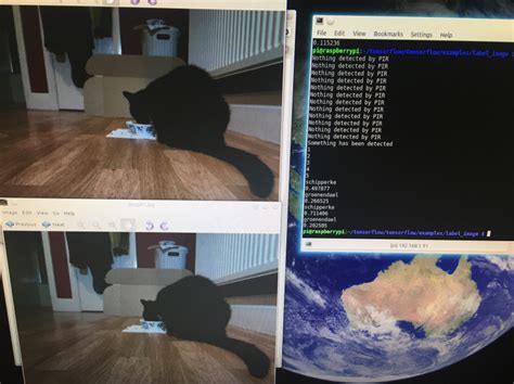 Building A Daytime Cat Detector Part Details Hackaday Io