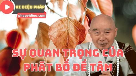 Tự Tánh Chẳng Thể Nghĩ Bàn