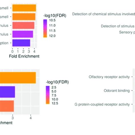 Reverse Transcription Polymerase Chain Reaction Rt Pcr With Taar6 And