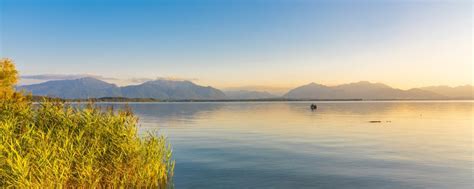 Ophthalmic Biomarker Detection With Parallel Prediction Of Transformer And Convolutional