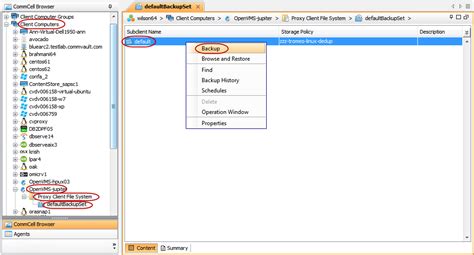 Backup OpenVMS File System IDataAgent