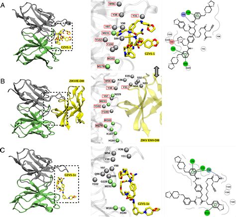 Intermolecular Interactions