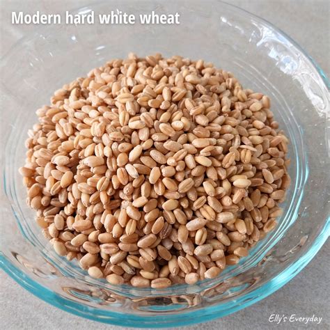 Grain Flour Grams Conversion Charts For Home Millers And Bakers — Elly