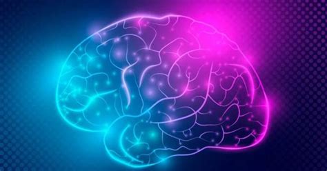 Study Reveals Creatine Supplementation Enhances Memory Performance Especially In Older Adults