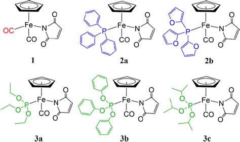 马来酰亚胺和膦或亚磷酸酯配体半夹心环戊二烯基铁ii配合物的合成、抗癌活性和分子对接scientific Reports X Mol