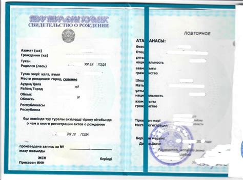 Свидетельство о рождении иностранного образца как выглядит