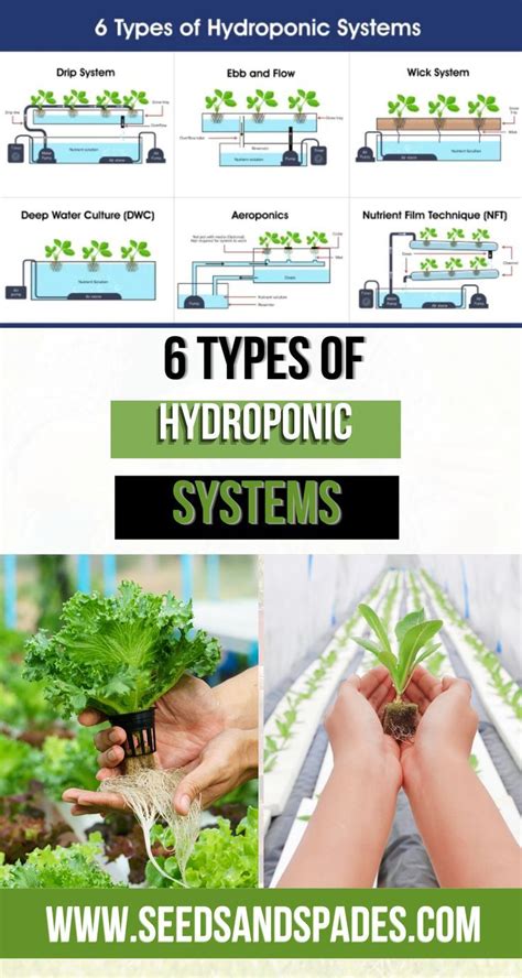 6 Types Of Hydroponic Systems And How They Work Hydroponics System Hydroponics Gardening Tips