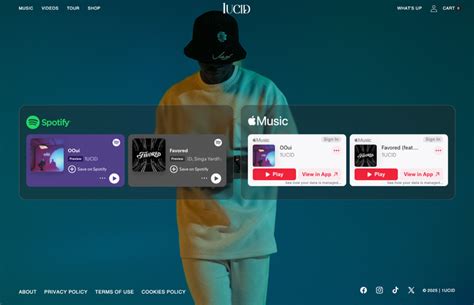 Shopify Website Ui Ux And Development Freelancer