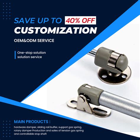 Customizable Compressed Gas Spring Cylinder Optional Features Include