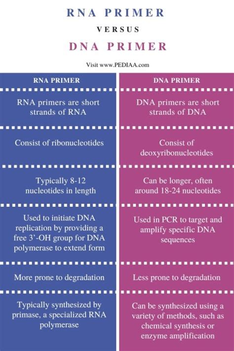 What Is The Difference Between Rna Primer And Dna Primer Pediaacom