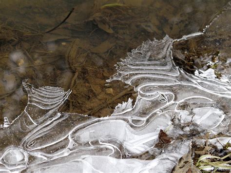 Fractal Ice Free Photo Download FreeImages