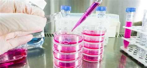 Molecular Diagnostics In Oncology Targeted Quality Assured Integrated