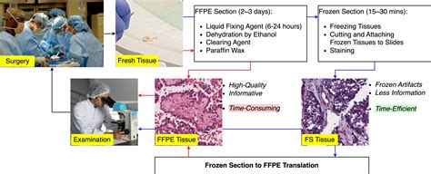F2fldm Latent Diffusion Models With Histopathology Pre Trained Embeddings For Unpaired Frozen