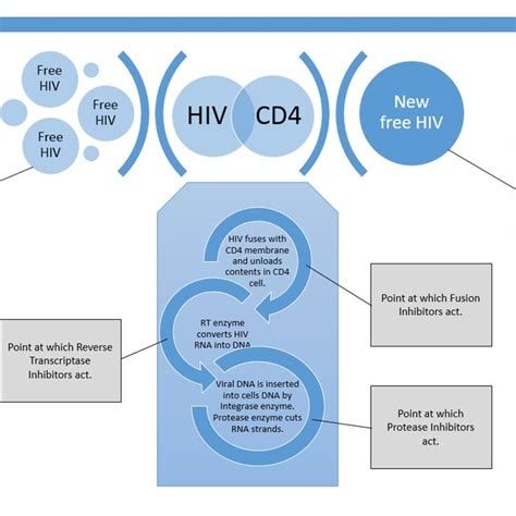 Pdf Predicting Hiv Drug Resistance From Genomic Data Using Deep Learning
