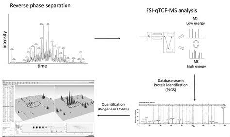 Schematic View Of LC MS E Method Download Scientific Diagram