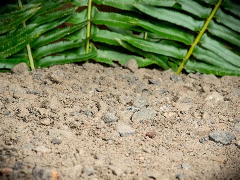 Road Base — Adams Concrete