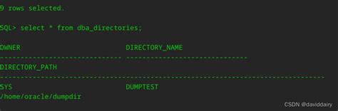 Oracle数据库dump快速导出导入oracle Dump导入导出 Csdn博客