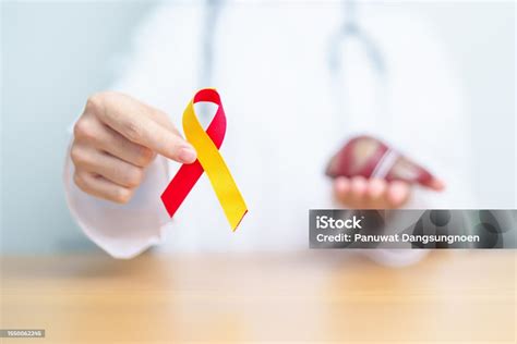 빨간색과 노란색 리본과 인간의 간 해부학 모델을 가진 의사 세계 간염의 날 7월 28일 간암 인식의 달 황달 간경변 부전 비대 간성 뇌병증 및 건강 2월에 대한 스톡 사진