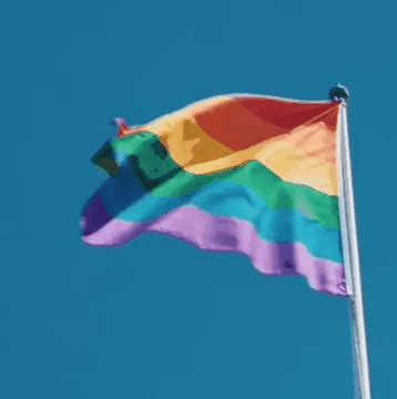 Gay Flag  Tumblr Vvtipussy