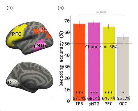 Mvpa Decoding Accuracy In Rois Revealed By The Code Contrast A The