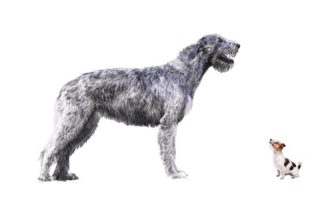 Embracing The Beauty Of The Standards In 2023 Web Development By Marc