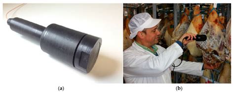 Rapid Non Destructive Prediction Of Water Activity In Dry Cured Meat