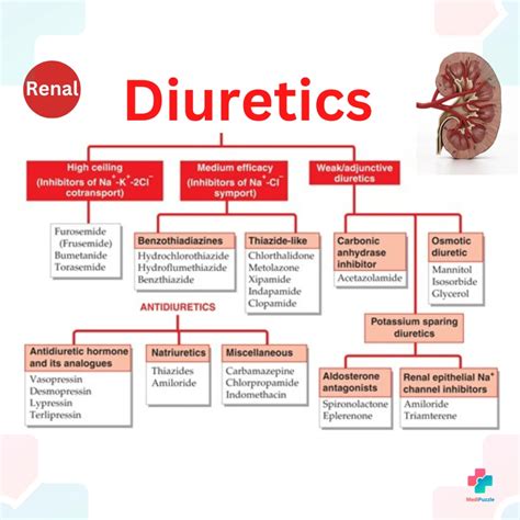 Medipuzzle Medicalgames Know The Diuretic Agents Each Diuretic Has A