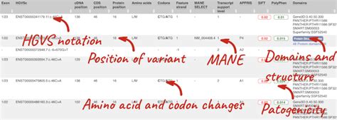 Annotating Genetic Variants With The VEP Demo