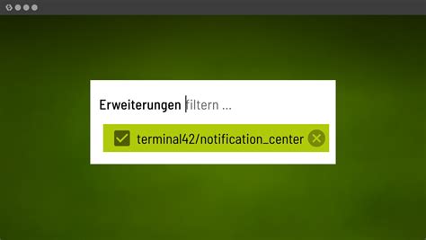 Displaying And Filtering Extensions