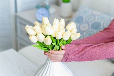 거실 커피 테이블에 앉아 꽃병에 흰색 튤립 꽃을 넣어 여자 꽃다발을 작곡 라이프 스타일 35 39세에 대한 스톡 사진 및 기타 이미지 35 39세 거실 계절 Istock